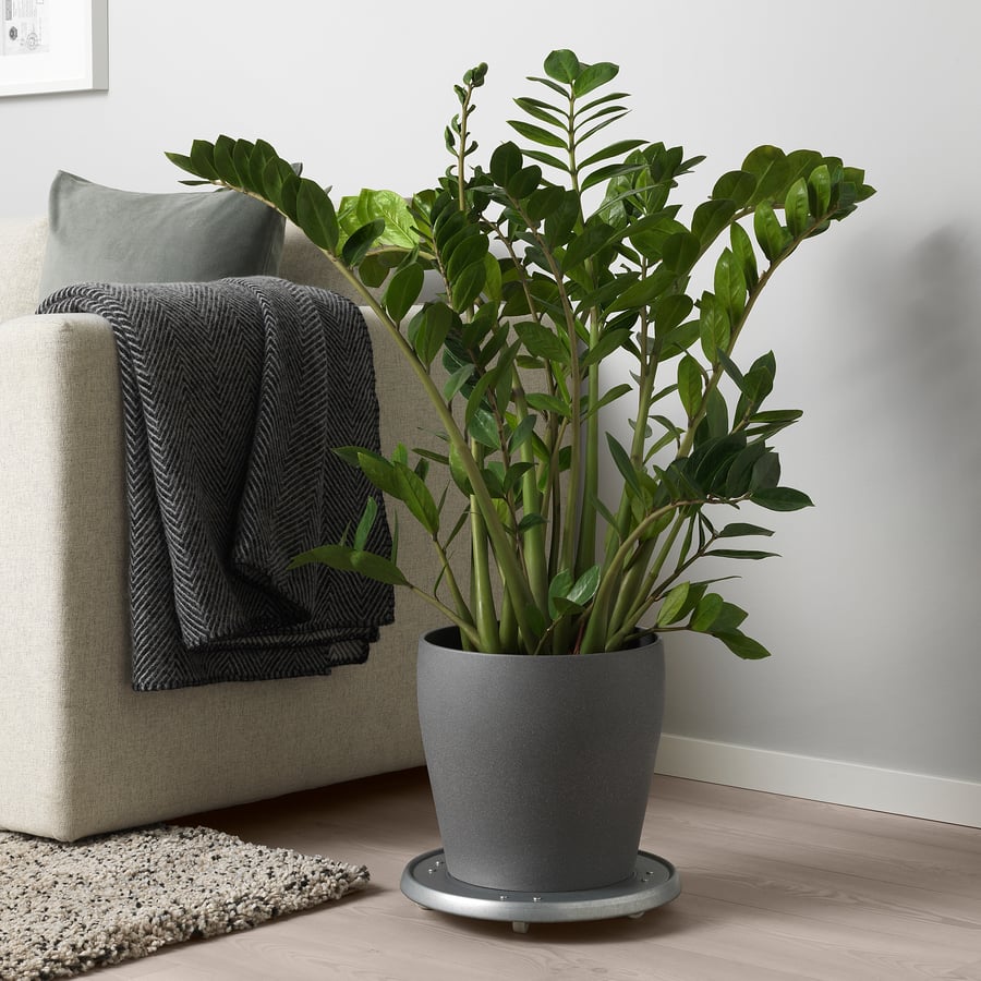 PERSILLADE plant pot, dark grey, 24 cm - IKEA