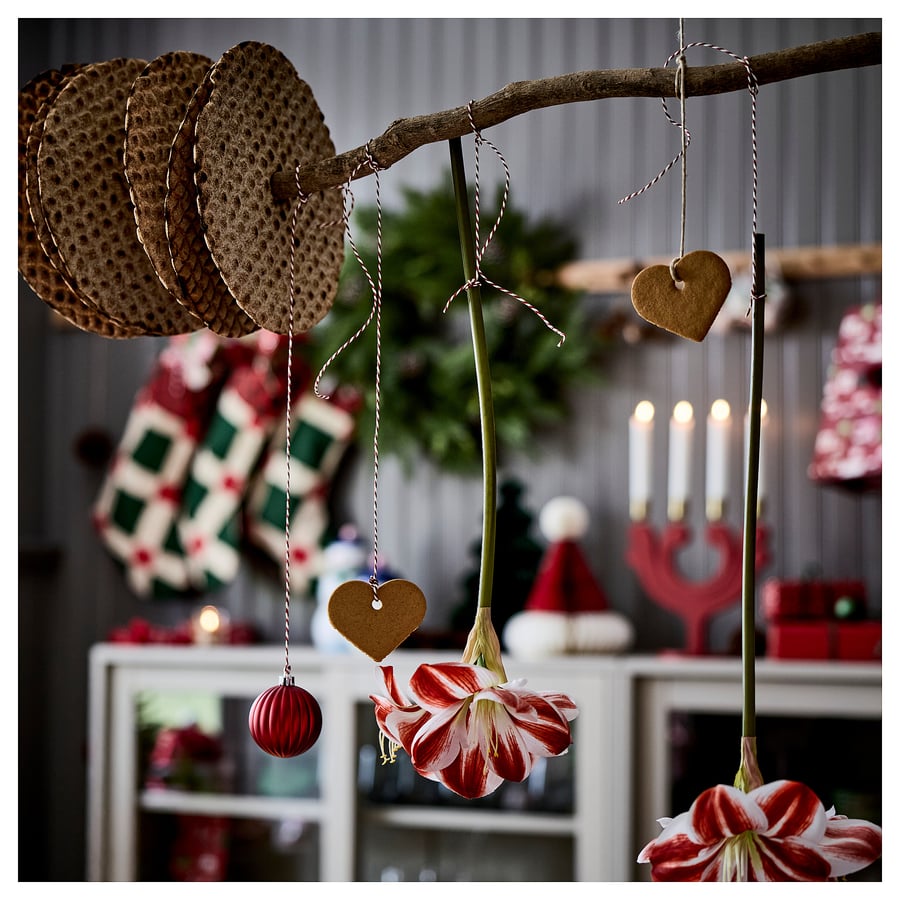 VINTERFINT artificial flower, in/outdoor Amaryllis/red white, 60 cm - IKEA