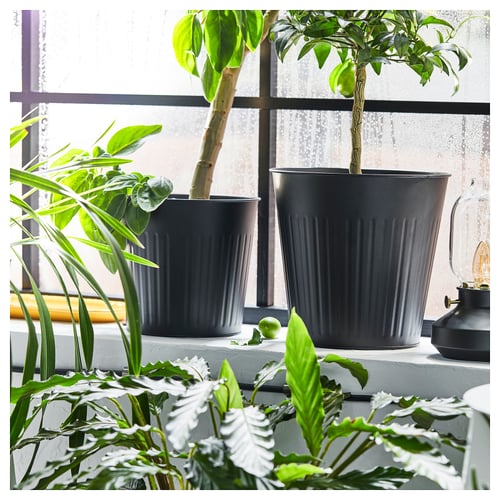 CITRONMELISS plant pot, in/outdoor/anthracite, 24 cm - IKEA
