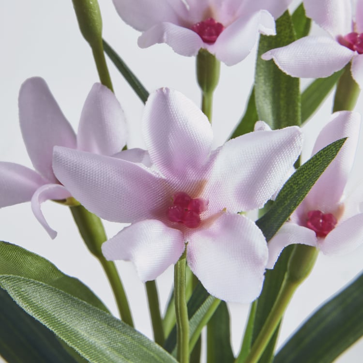 FEJKA artifi potted plant w pot, set of 3, in/outdoor flower, 6 cm - IKEA