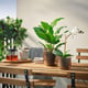GRADVIS plant pot, in/outdoor/light brown, 9 cm - IKEA