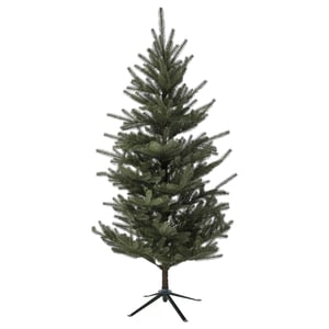 Christmas Plants and Pots | Buy Online and In-store - IKEA