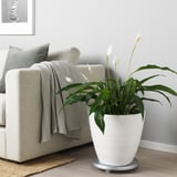 Cache-pots d’intérieur - IKEA Belgique