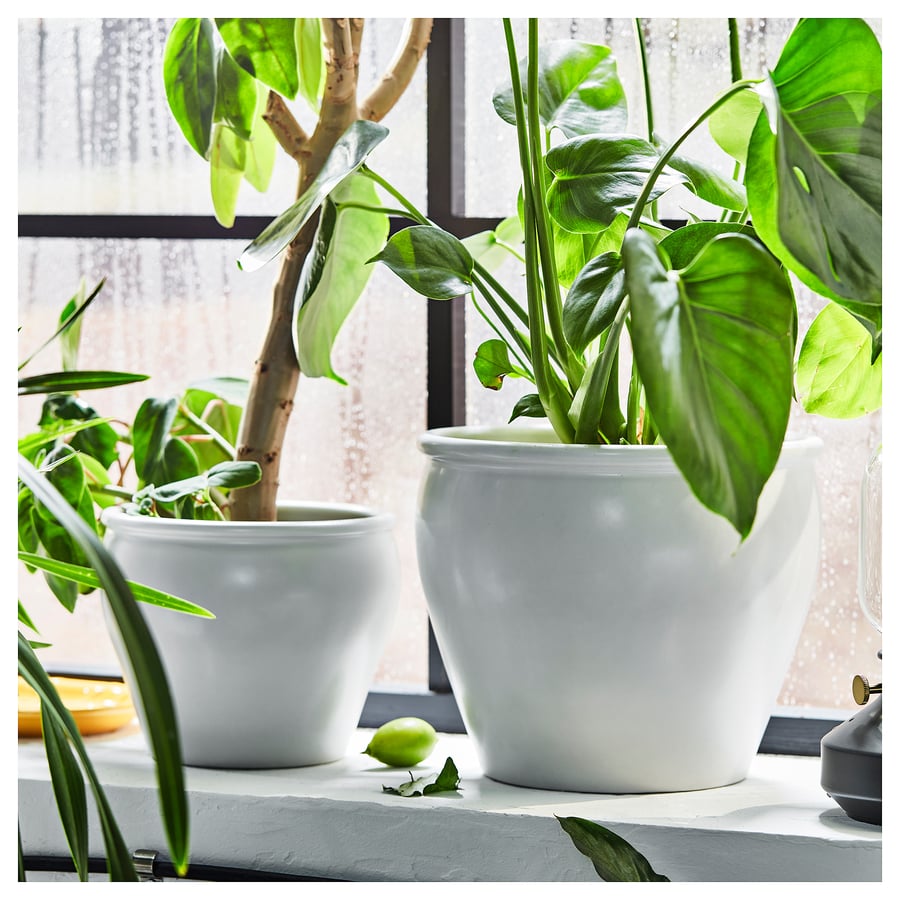 AMBRARÖNN plant pot, indoor/outdoor/white, 19 cm (7 ½") - IKEA CA