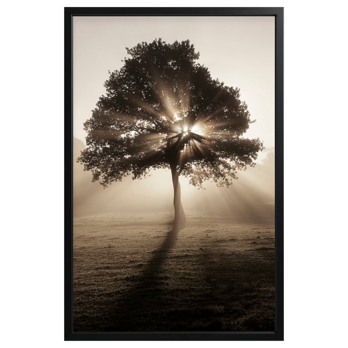 Wall Art | Framed Pictures & Canvas Wall Art - IKEA CA