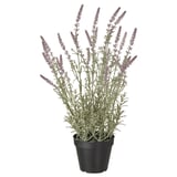 Artificial Plants & Flowers - IKEA