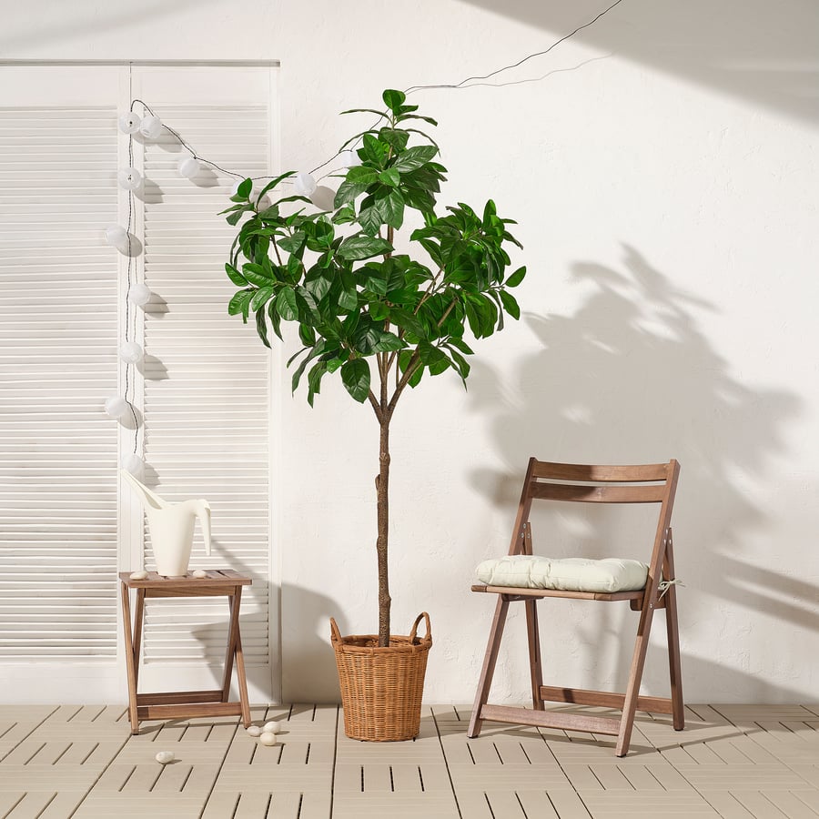 FEJKA artificial potted plant, indoor/outdoor Magnolia, 23 cm (9 ...