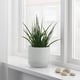 GRADVIS plant pot, gray, 15 cm (6") - IKEA CA