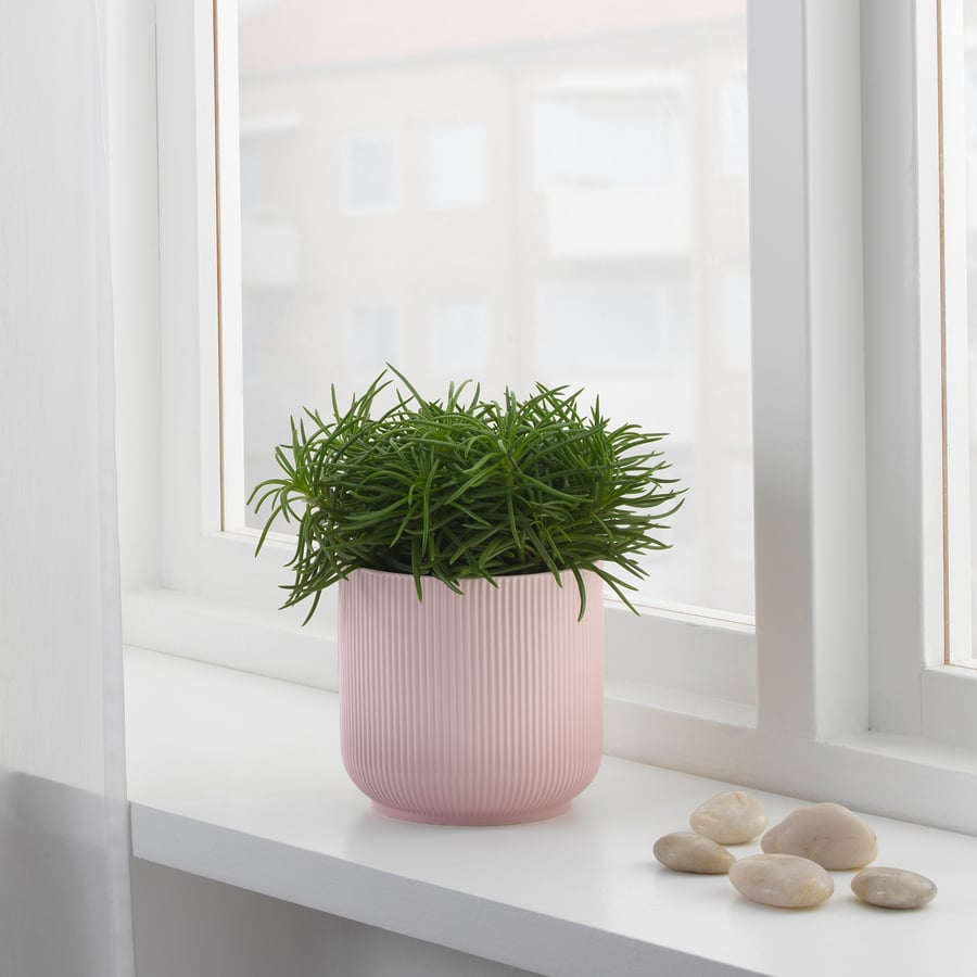 GRADVIS plant pot, pink, 12 cm (4 ¾") - IKEA CA