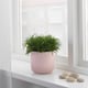 GRADVIS plant pot, pink, 12 cm (4 ¾") - IKEA CA