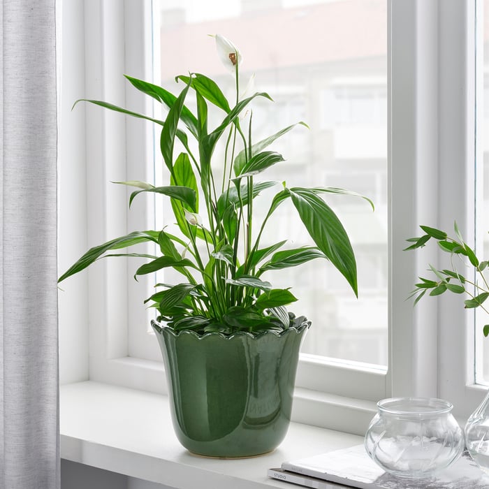 Plant Pots & Stands - Flower Pots - IKEA CA