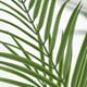 FEJKA plante artificielle en pot, intérieur/extérieur aréca, 19 cm (7 ½ ...