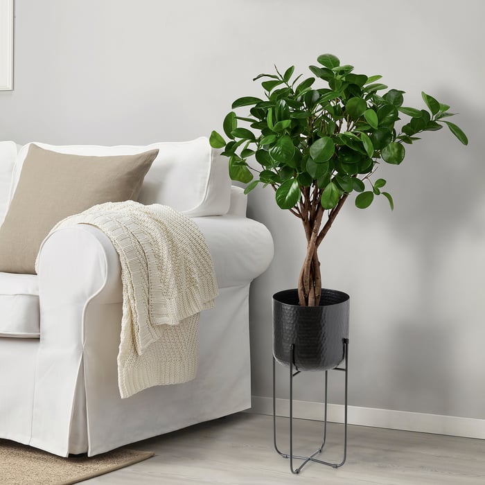 Cache-pots et piédestaux pour plantes - IKEA CA