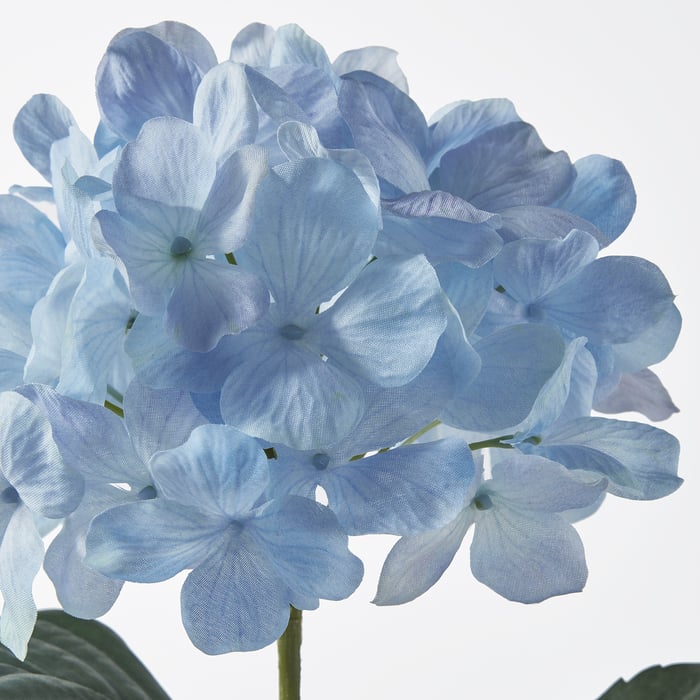 SMYCKA fleur artificielle, intérieur/extérieur/Hydrangea bleu clair, 45 cm - IKEA Suisse