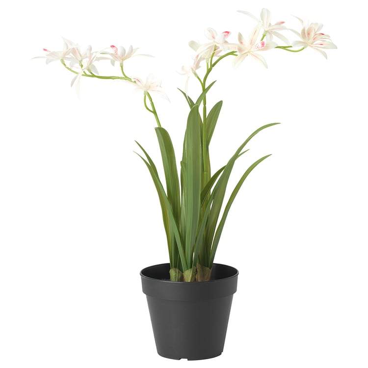 FEJKA pianta artificiale in vaso, orchidea gialla, 12 cm - IKEA Svizzera