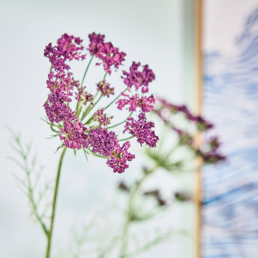 SMYCKA Flor artificial, Interior / exterior reina Ana/lila, 65 cm ...