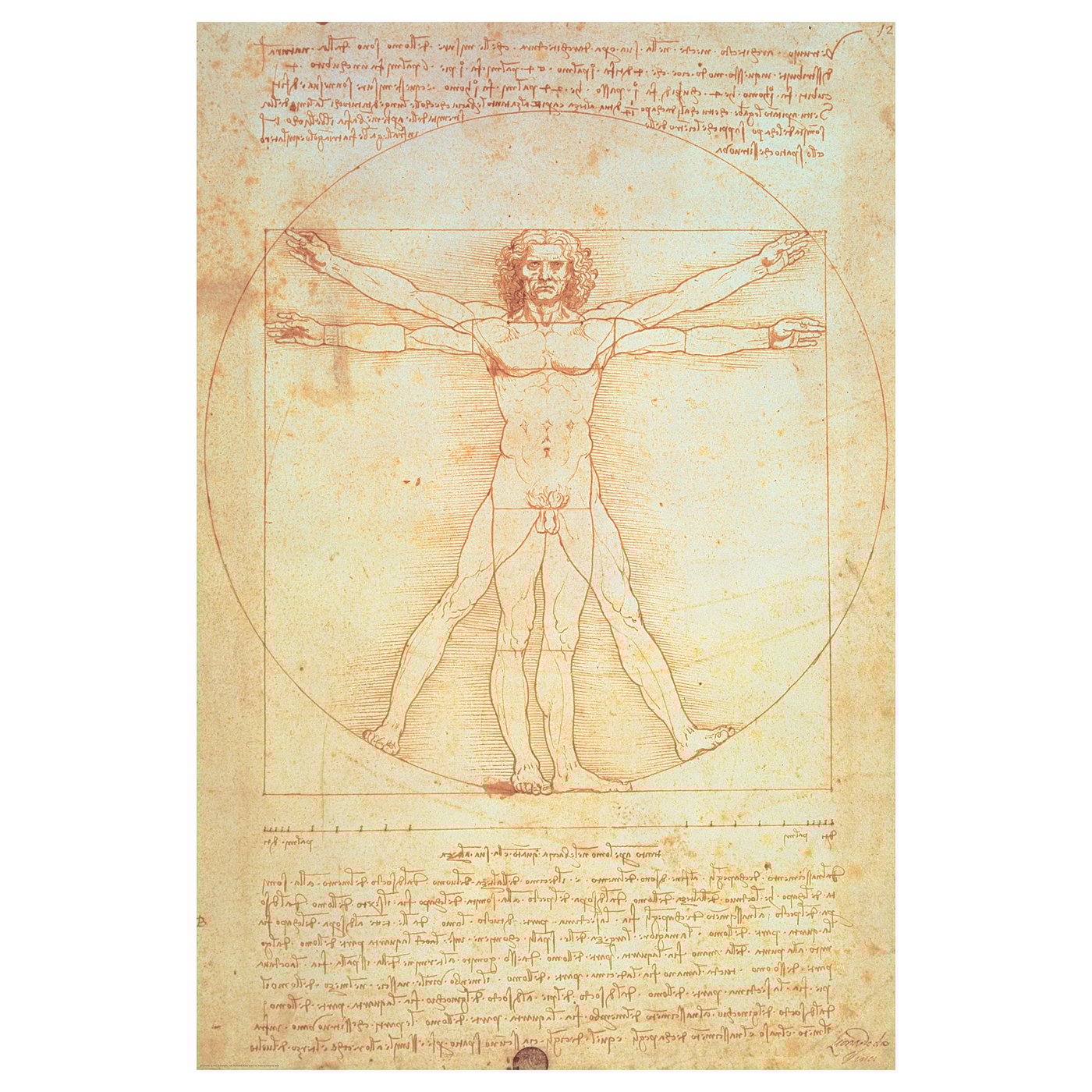 BILD plakát, Vitruviánský muž, 61x91 cm - IKEA