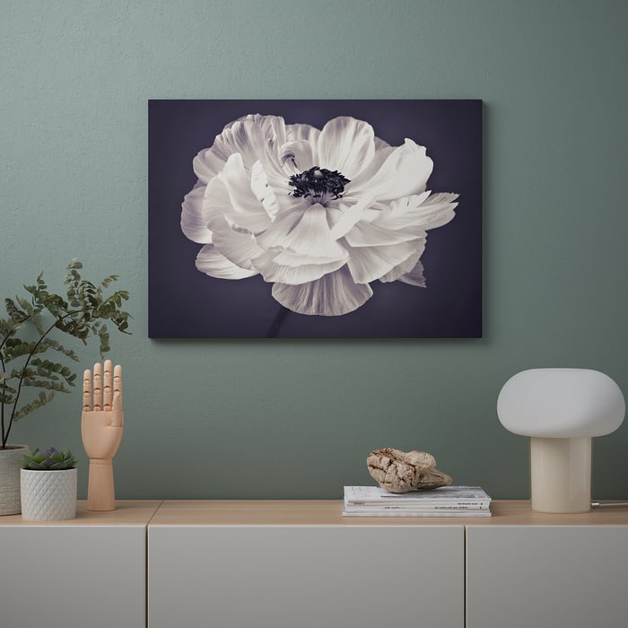 Obrazy a rámy - IKEA