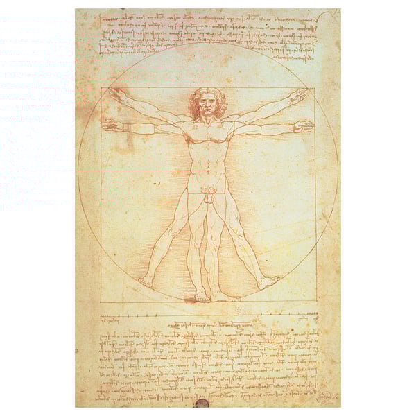 BILD Bild, Vitruvianische Figur, 61x91 cm - IKEA Deutschland