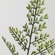 SMYCKA artificial leaf, in/outdoor/fern green, 53 cm - IKEA