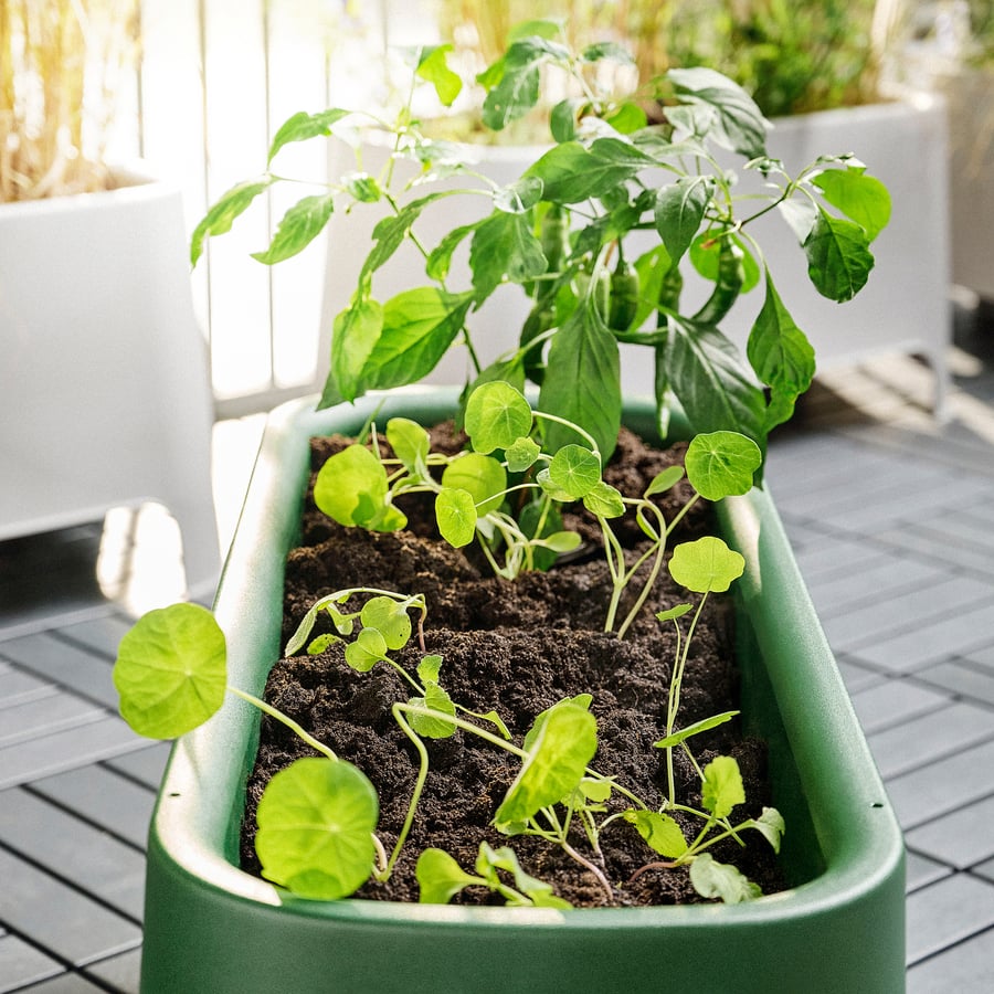 ASPAREN macetero, verde exterior, 89x38 cm - IKEA