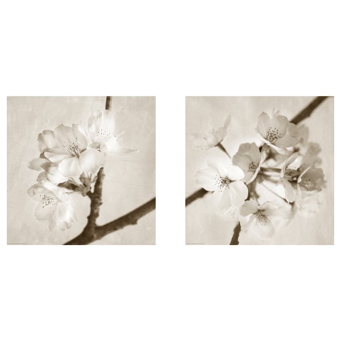 Láminas Decorativas - Compra Online - IKEA