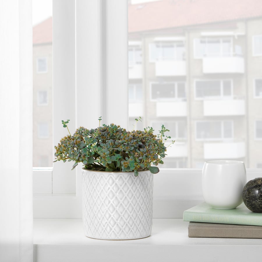 CHIAFRÖN macetero, blanco, 9 cm - IKEA
