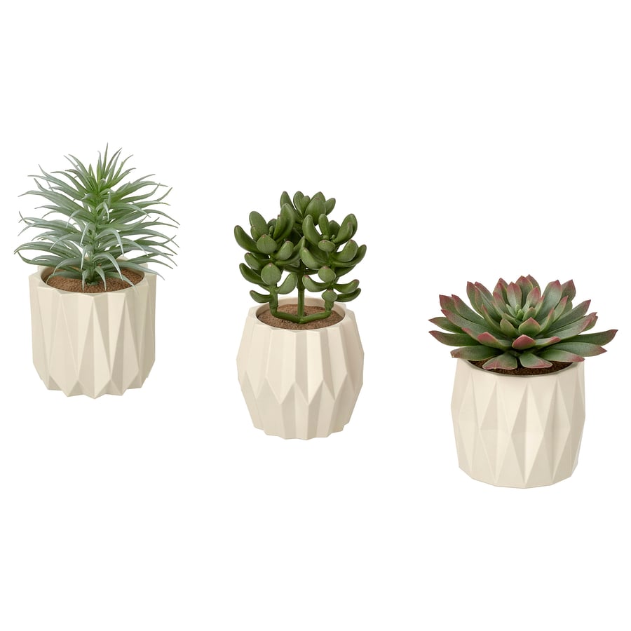 FEJKA planta artificial, conxunto de 3, int/ext Suculenta - IKEA