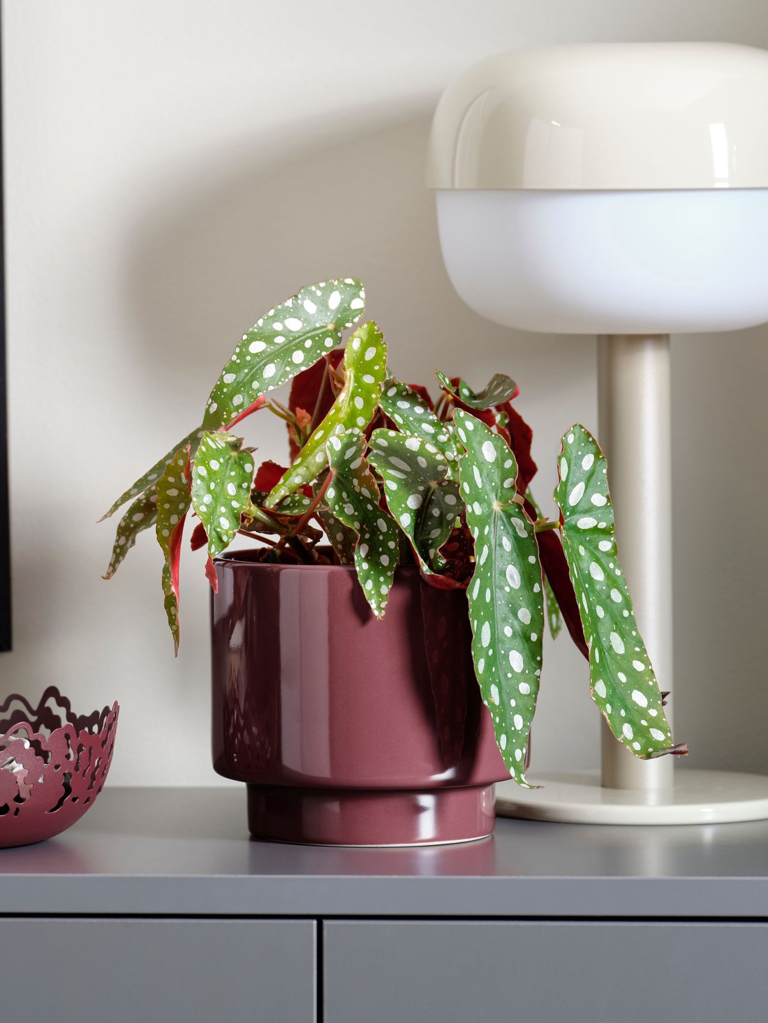 Flower Pots - Flower Planters - IKEA