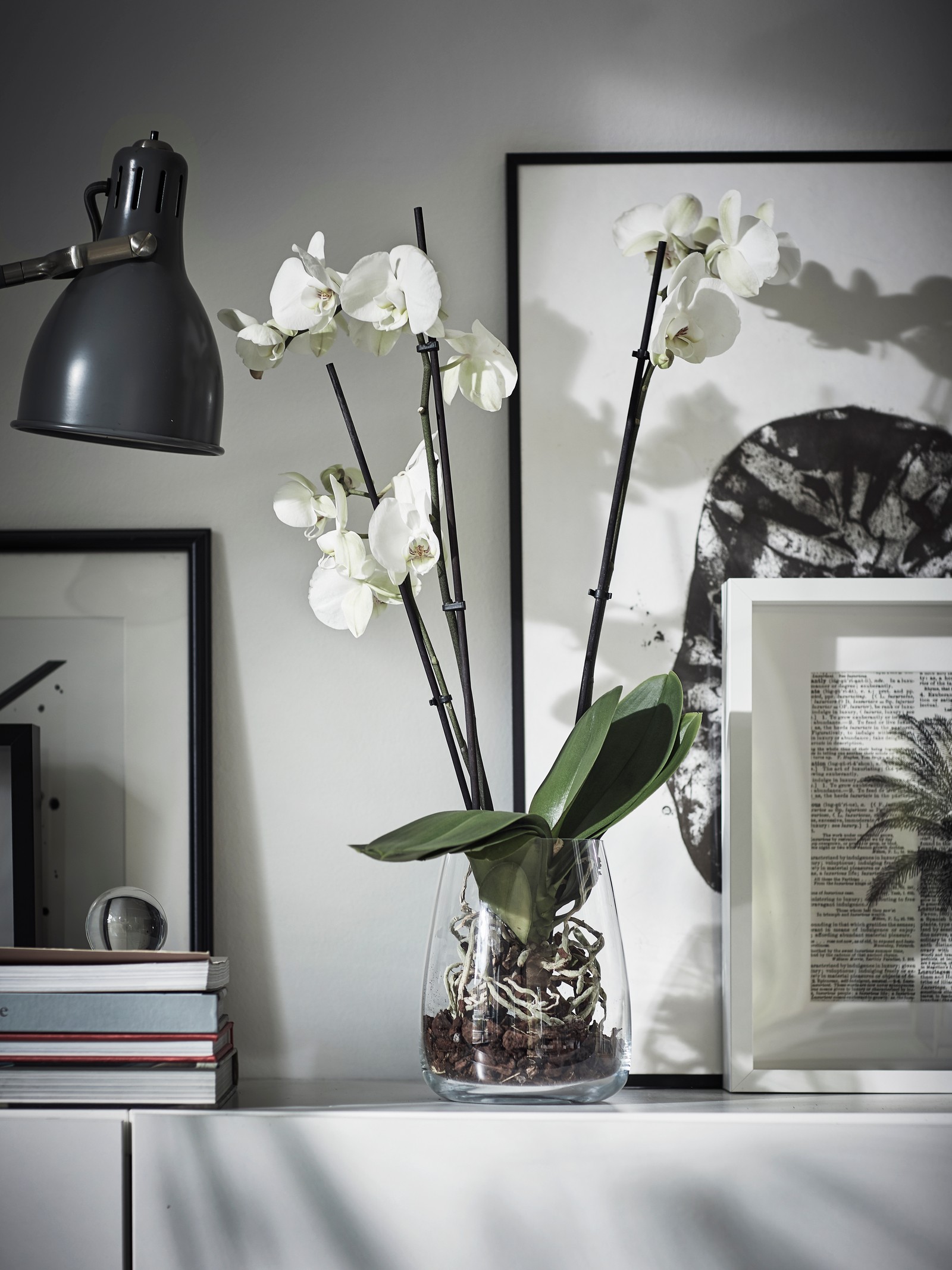 RIBBA Serie: schlichte Bilderrahmen - IKEA Deutschland