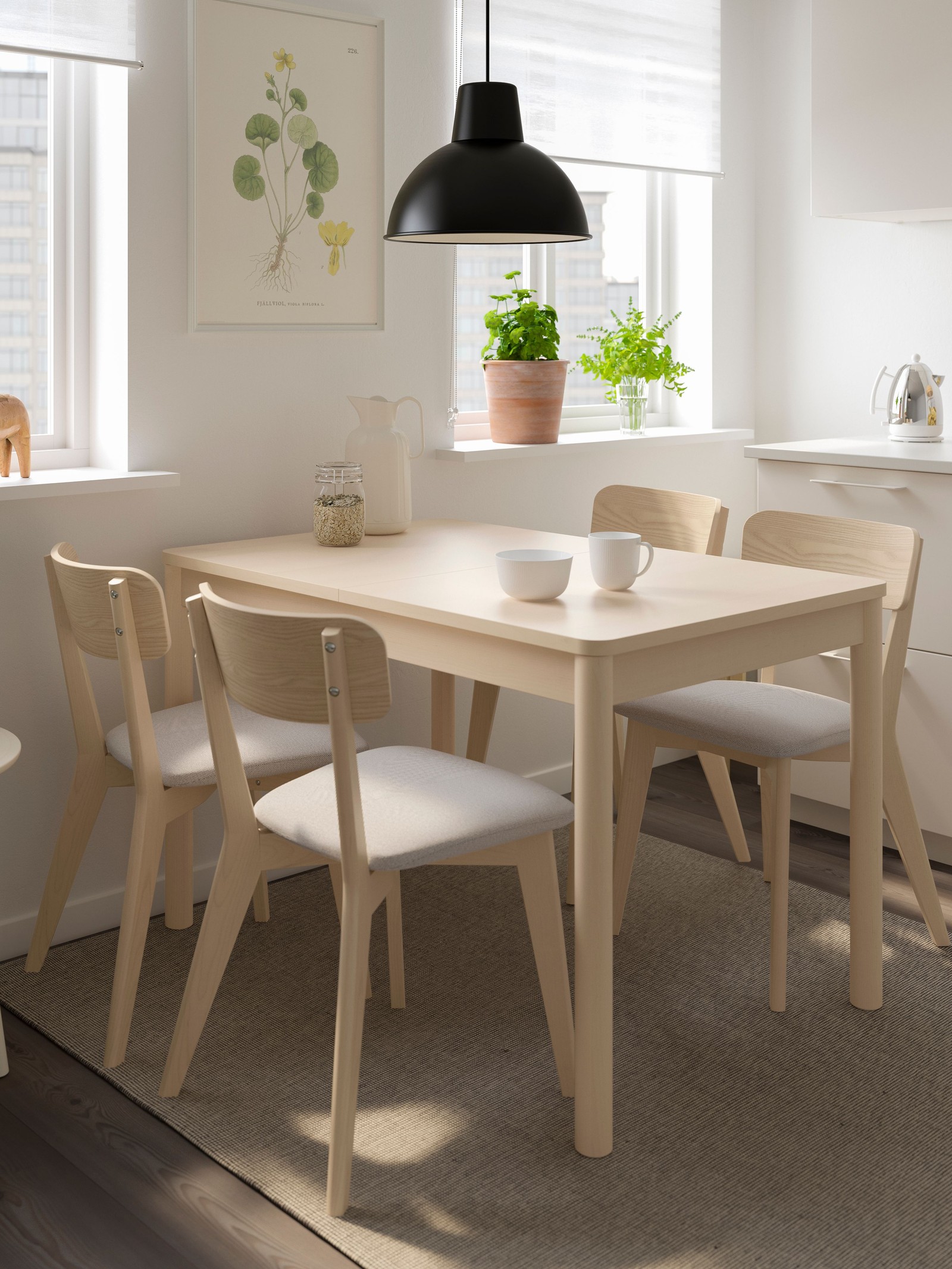 Dining room chairs - IKEA