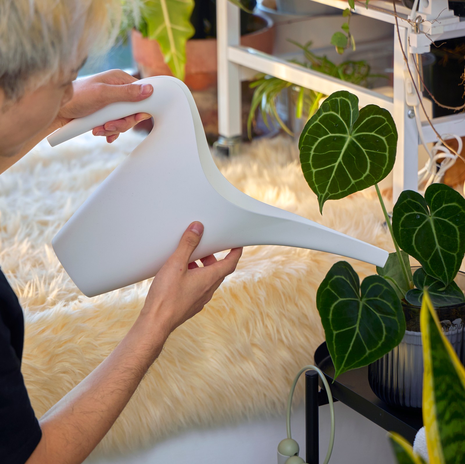 Playing music for plants - IKEA