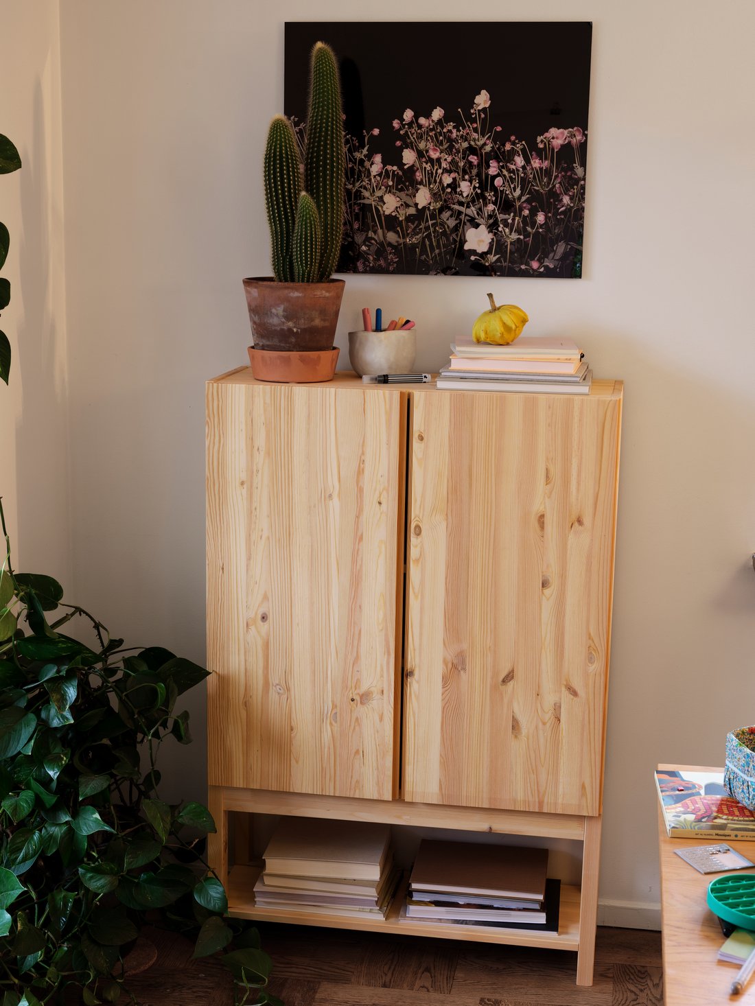 Storage Solution Systems Ikea