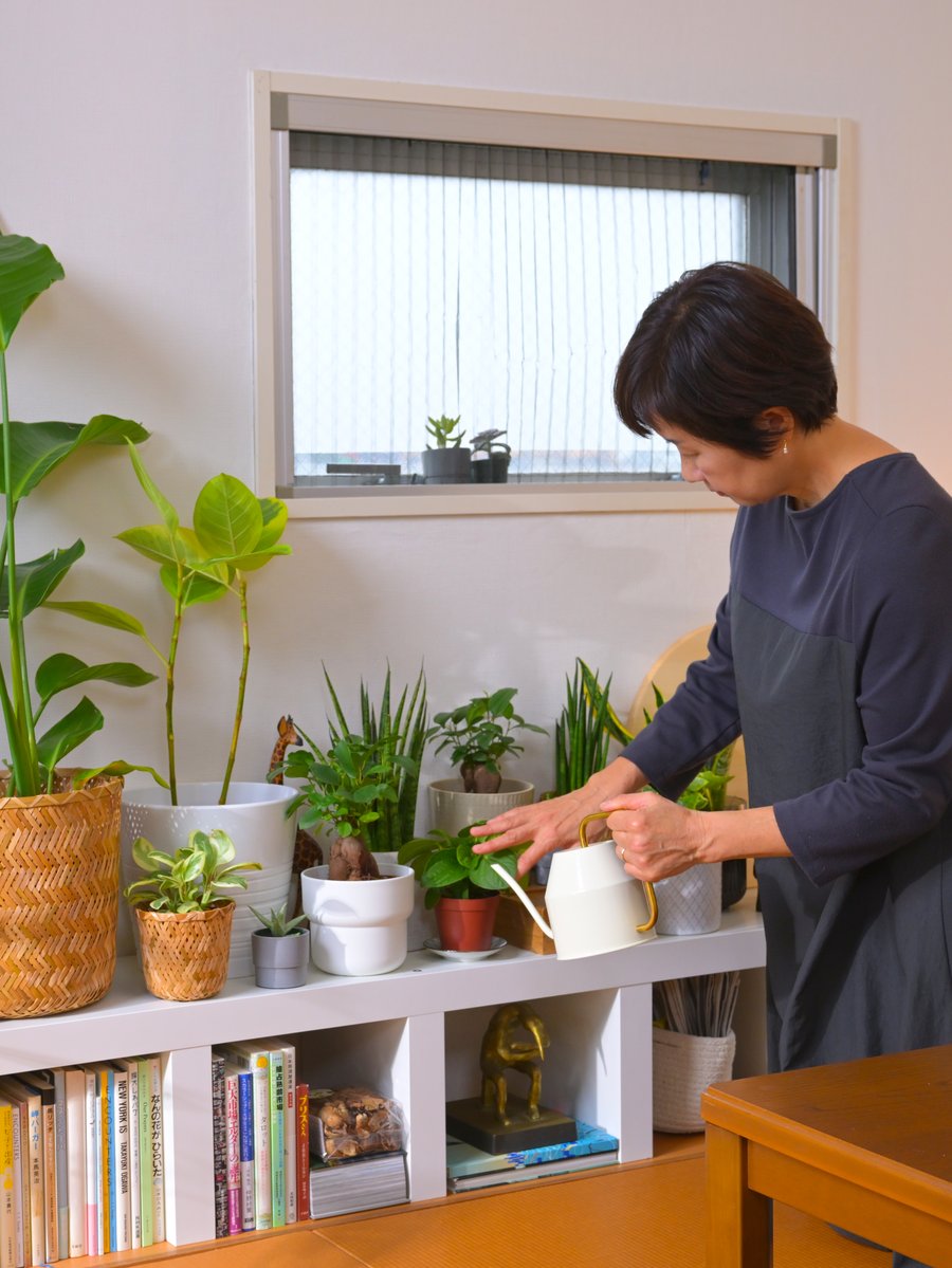 Taking care of a bonsai - IKEA