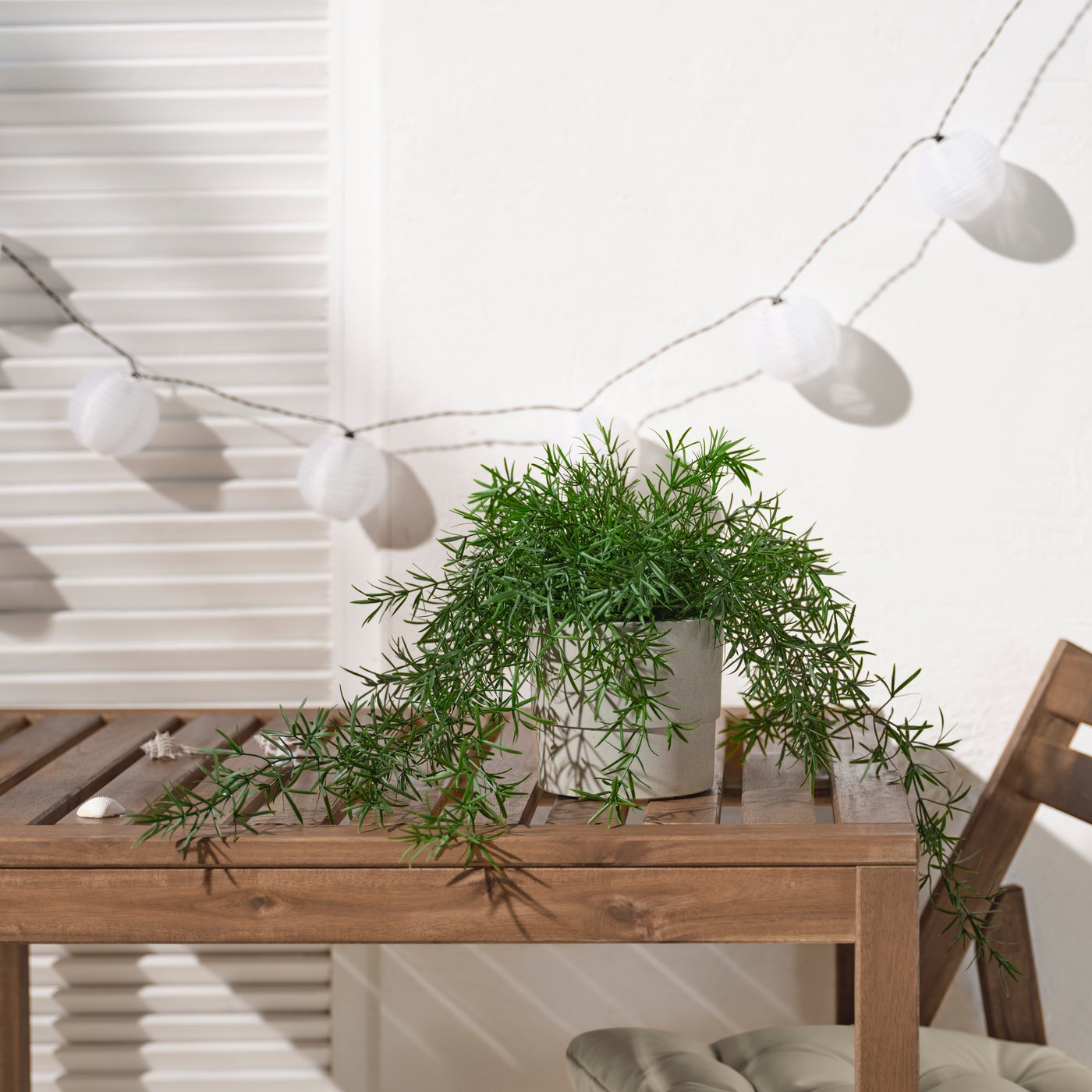 Pots & plants - IKEA