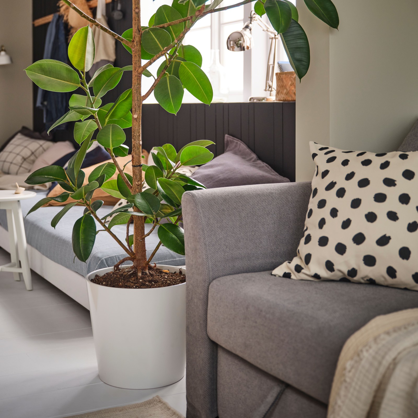 Living Room Furniture for Every Style And Budget - IKEA CA