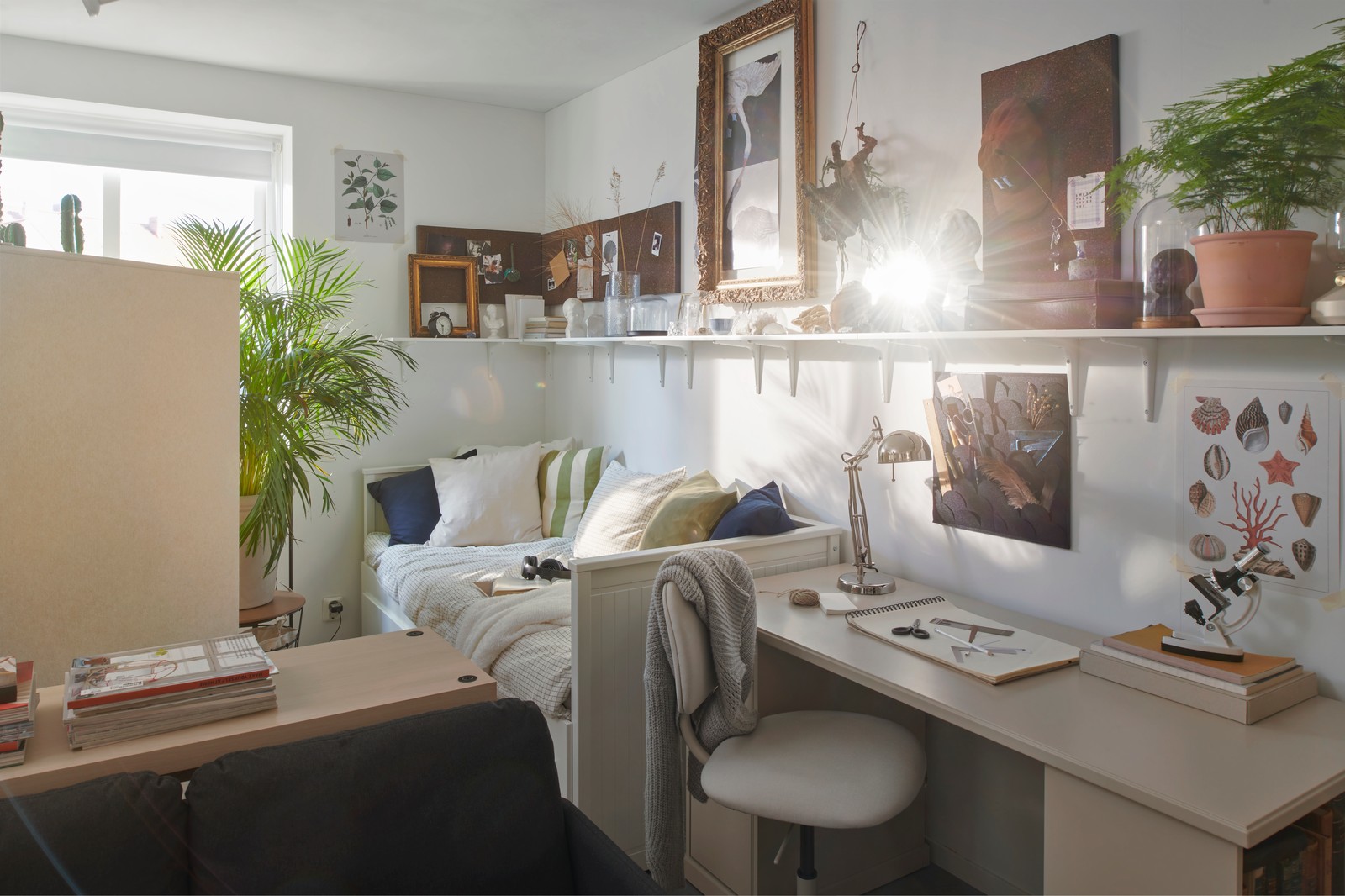 Dorm Room Ideas For Sporty Students - IKEA CA