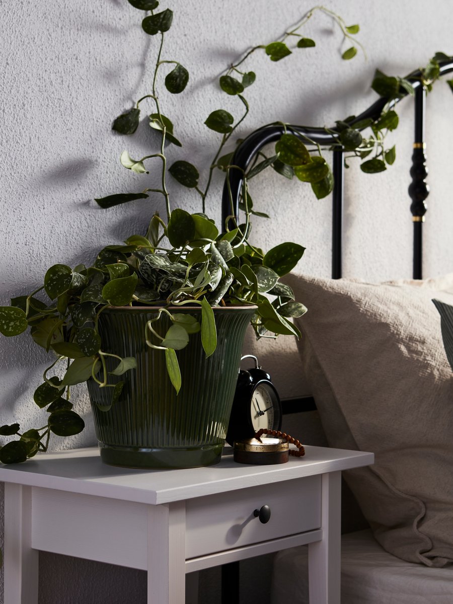 Flower Pots - Flower Planters - IKEA