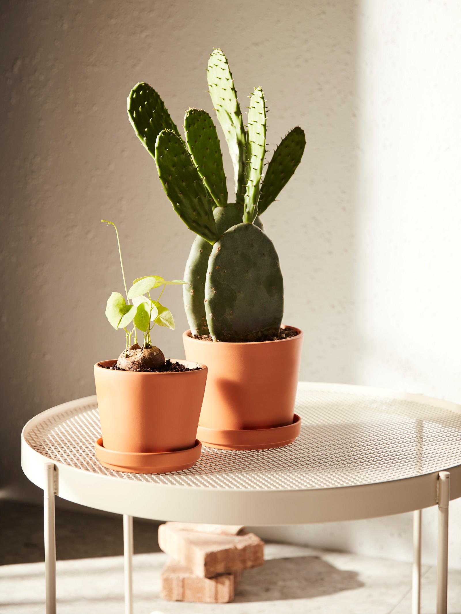 Buy Home Decoration Online - IKEA