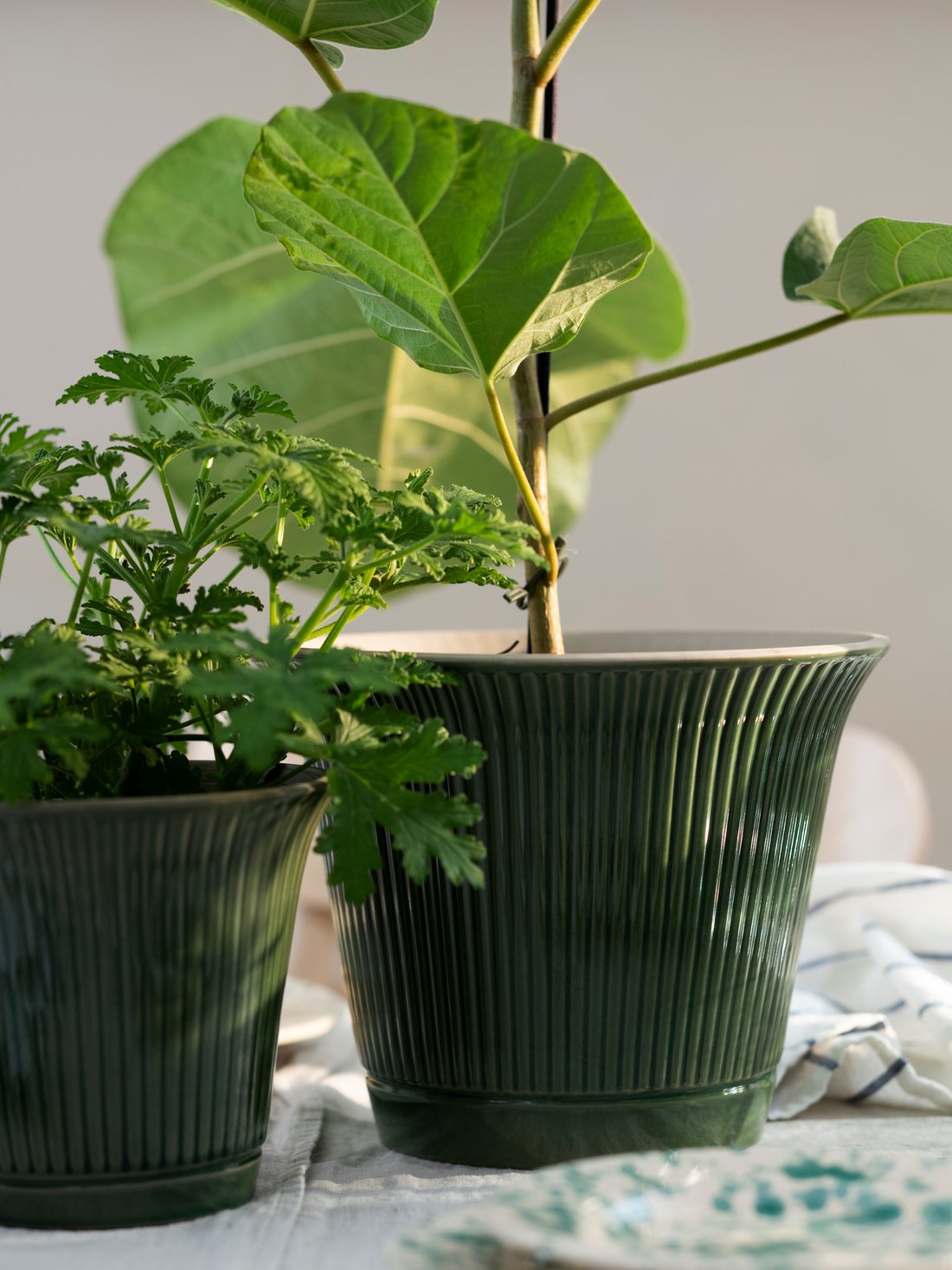 Plants - Plant Pots - Plant Accessories - IKEA