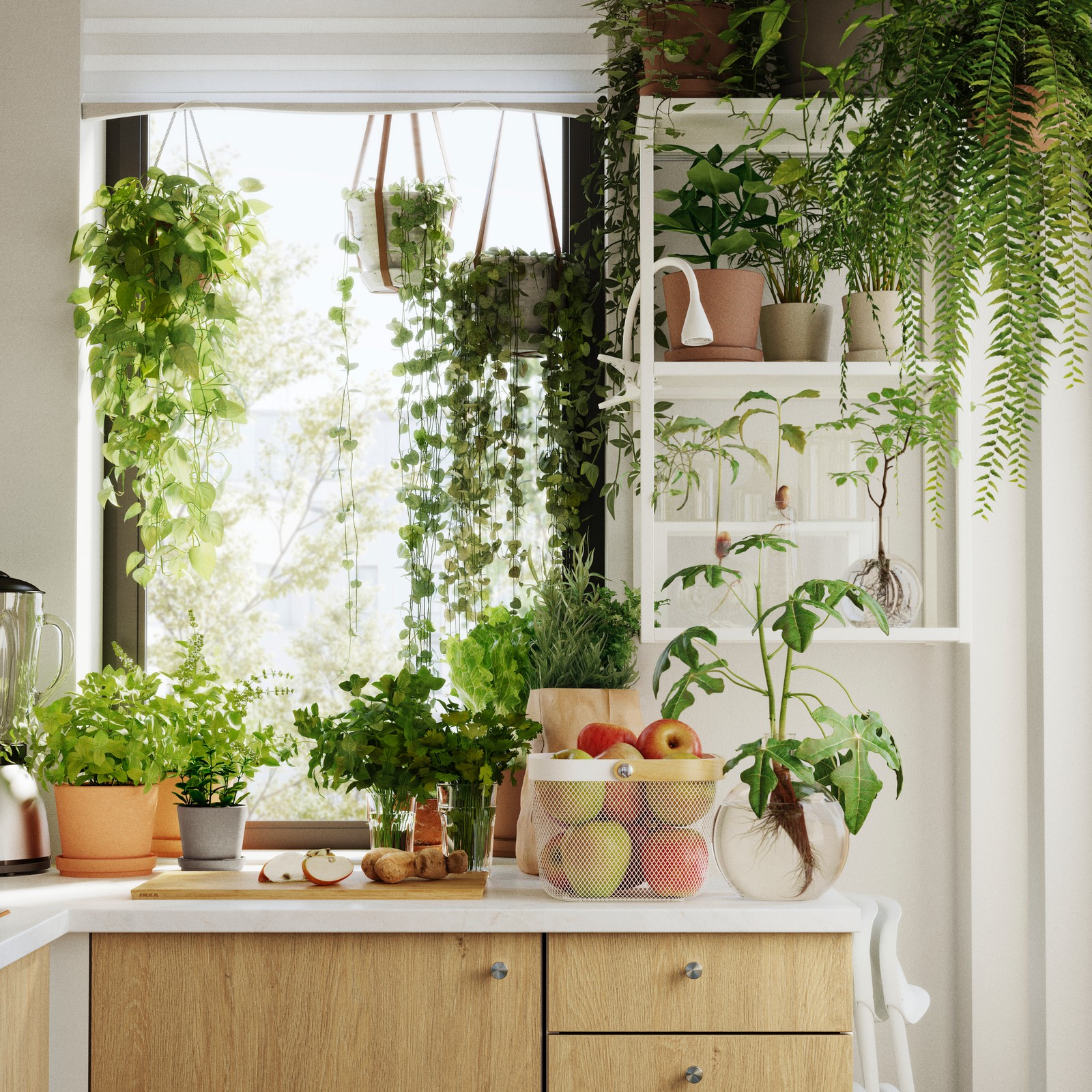 Planten & potten voor binnen kopen? | Bekijk onze collectie - IKEA
