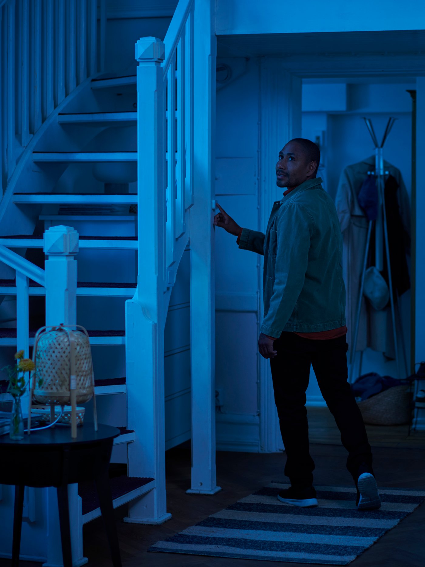 Produktstøtte for DIRIGERA hub og IKEA Home smart app - IKEA