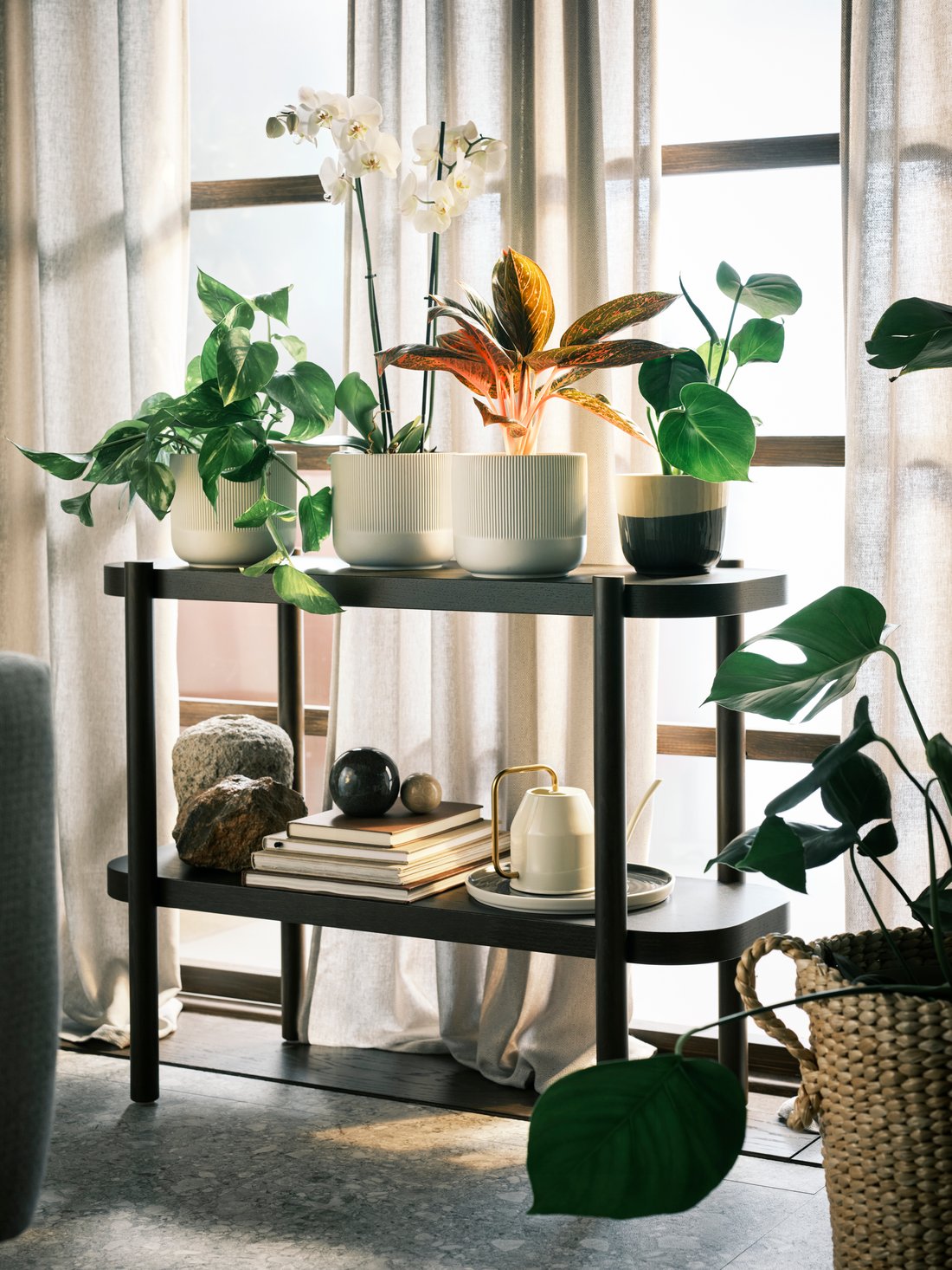 Easy house plant care tips for a greener home - IKEA