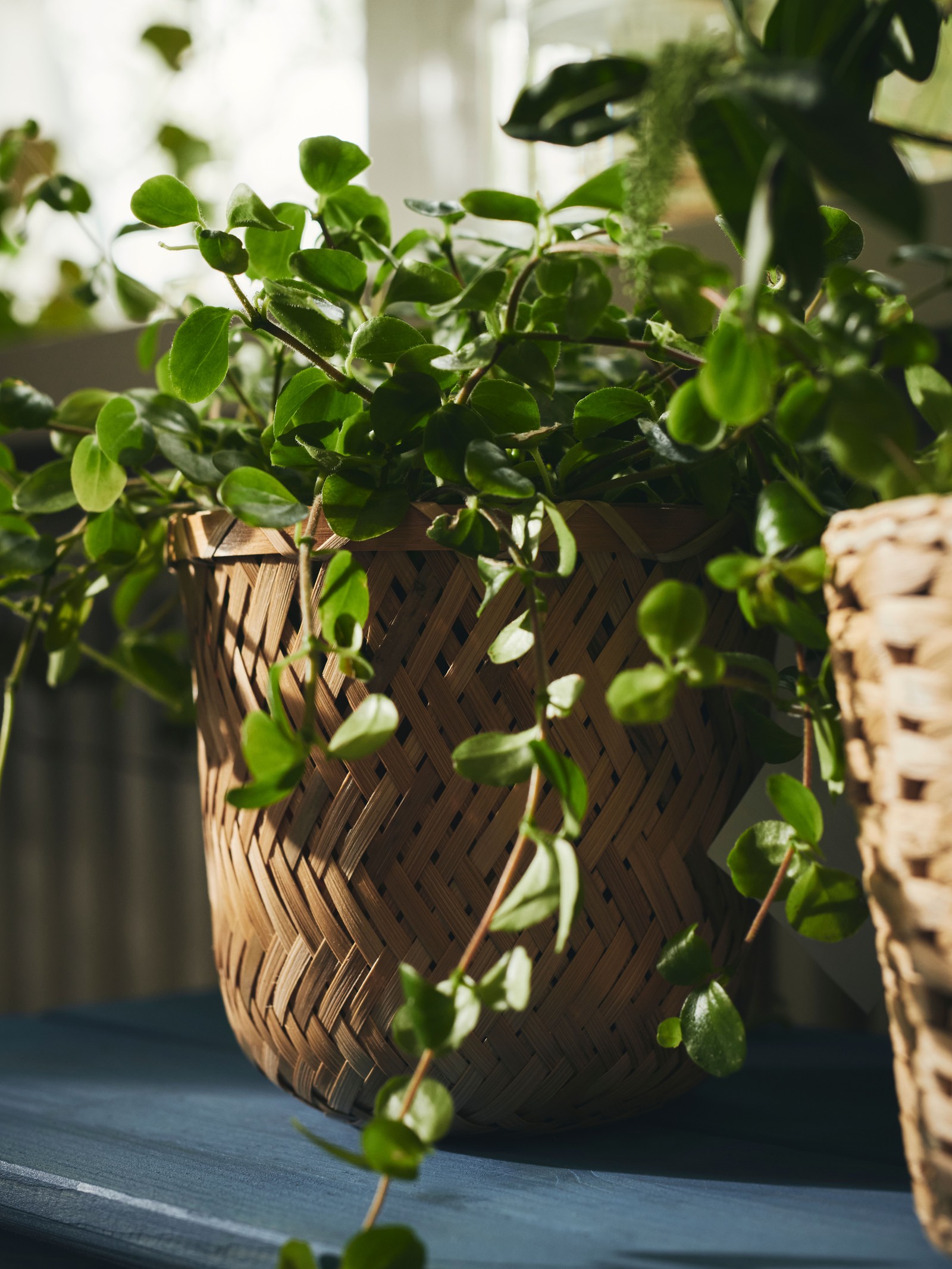 Cache-pots & supports - IKEA Suisse