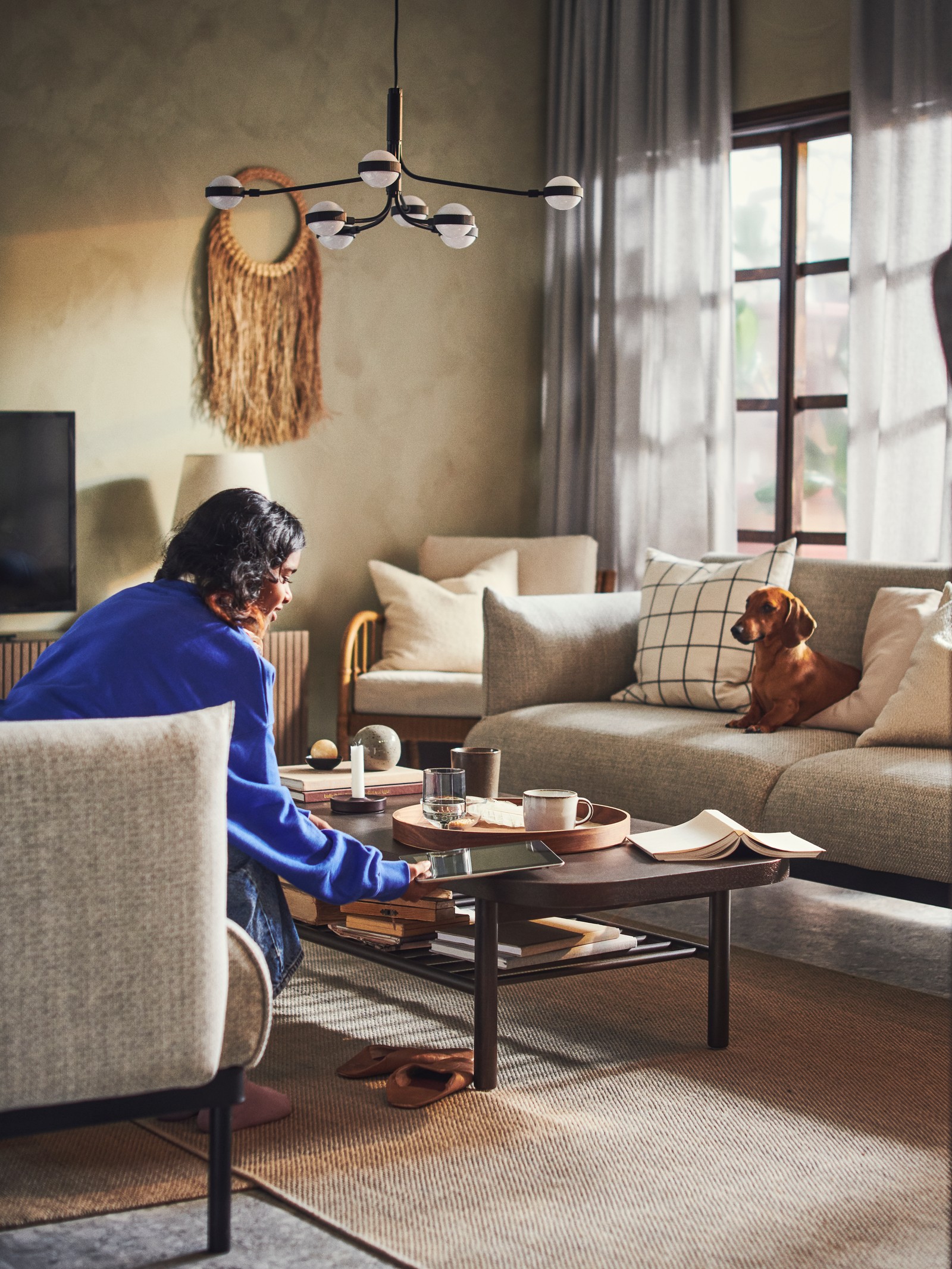 Rugs for Every Style and Budget | Shop Online and In-store - IKEA