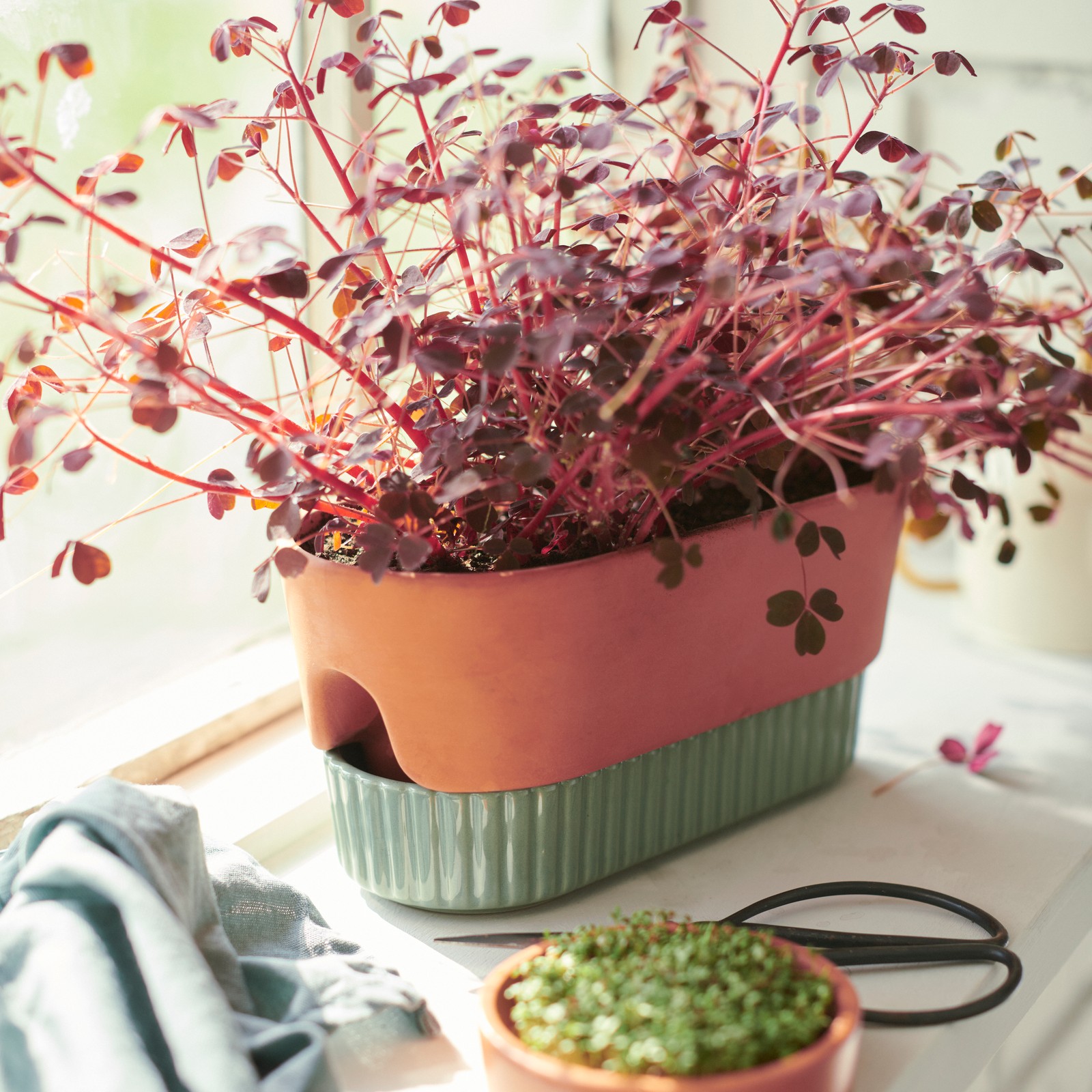 Home Décor | Room Accessories & Interior Decoration - IKEA