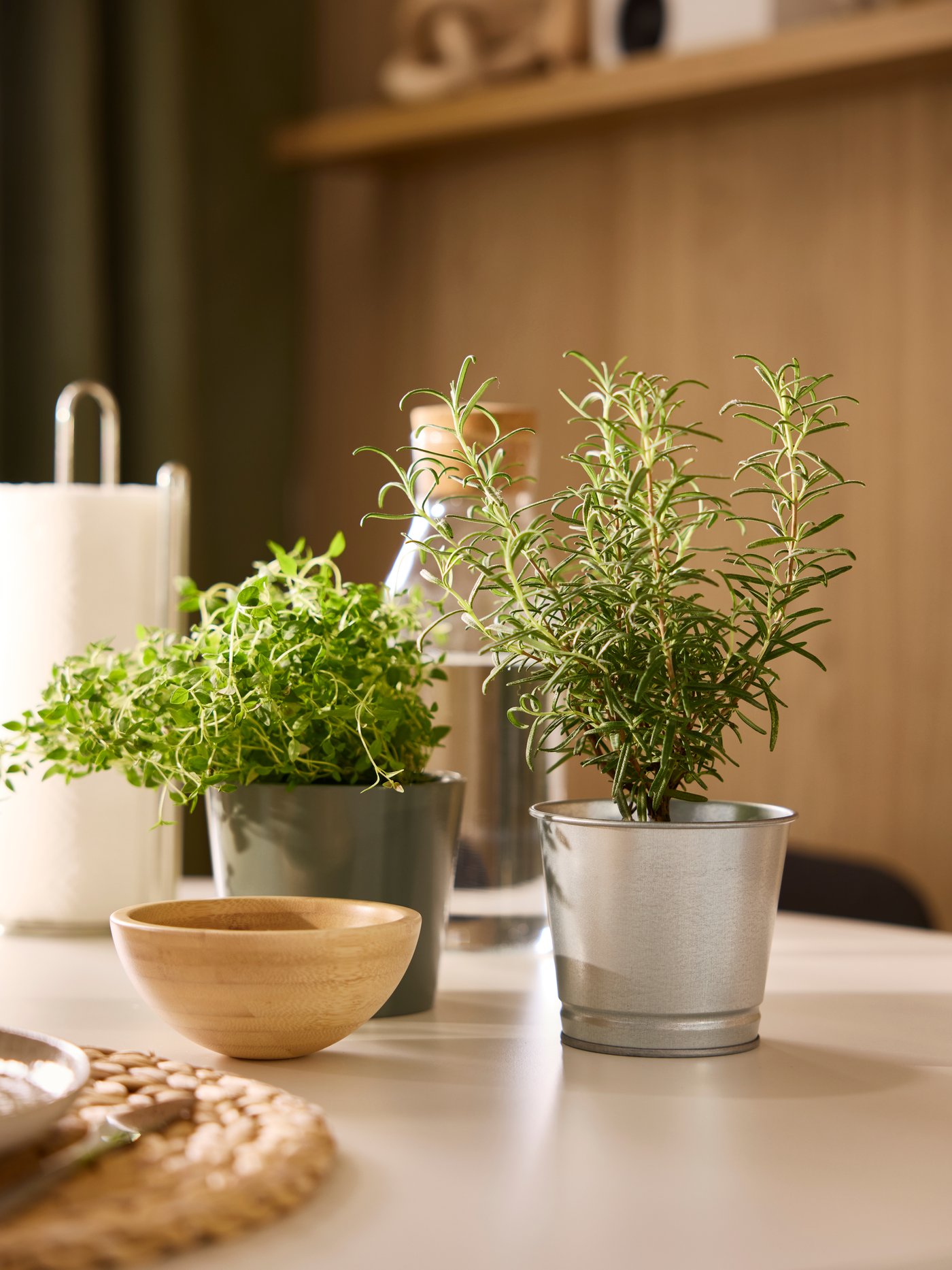 Planten & potten voor binnen kopen? | Bekijk onze collectie - IKEA