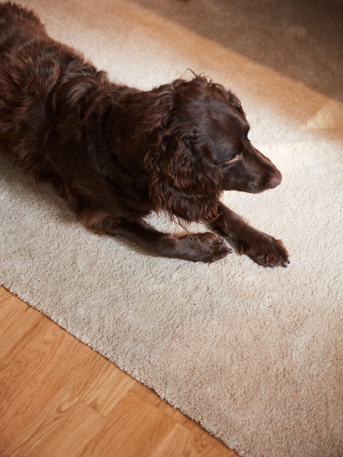 Buy Rugs, Carpet, Runner - Bedroom Rugs Online Kuwait - IKEA