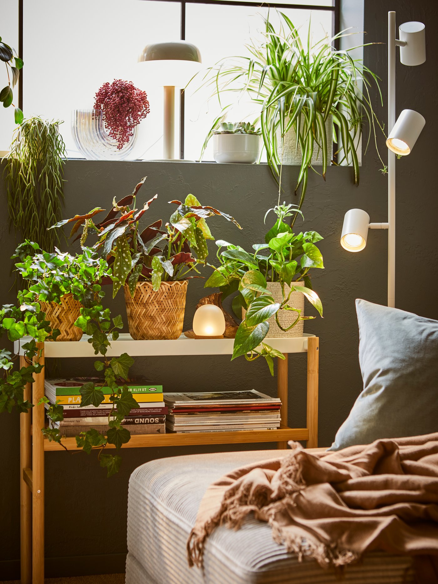 Materas y macetas para tus plantas - IKEA Colombia