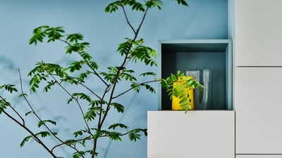 EKET systeem kopen? | Bekijk onze collectie - IKEA